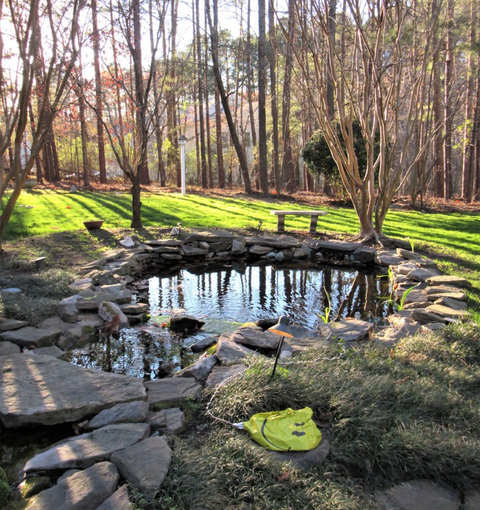 Deflated Not Defeated - Joy Dunlap | Writer | Speaker