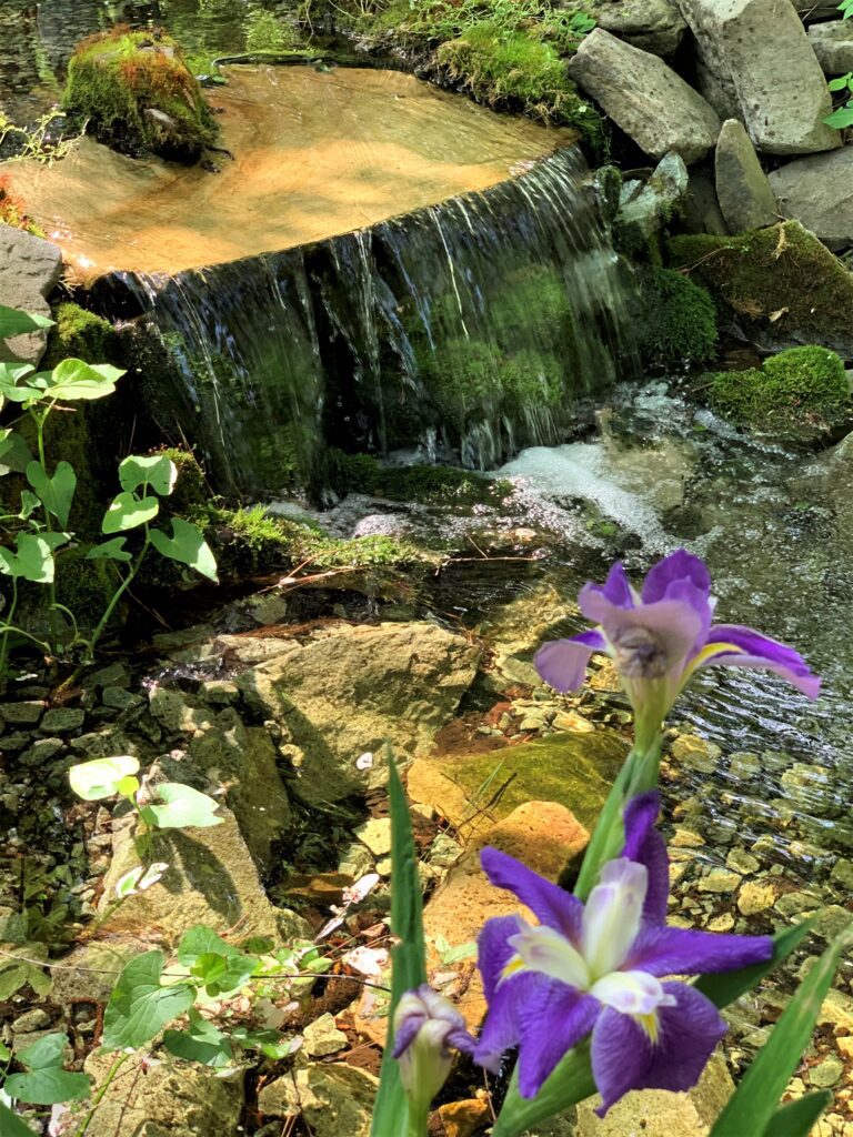 May Blessings that are Good Forever - Joy Dunlap | Writer | Speaker