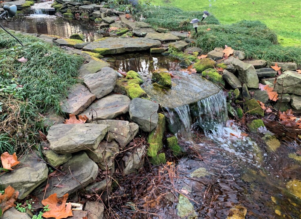 The Great Cleanout - Joy Dunlap | Writer | Speaker